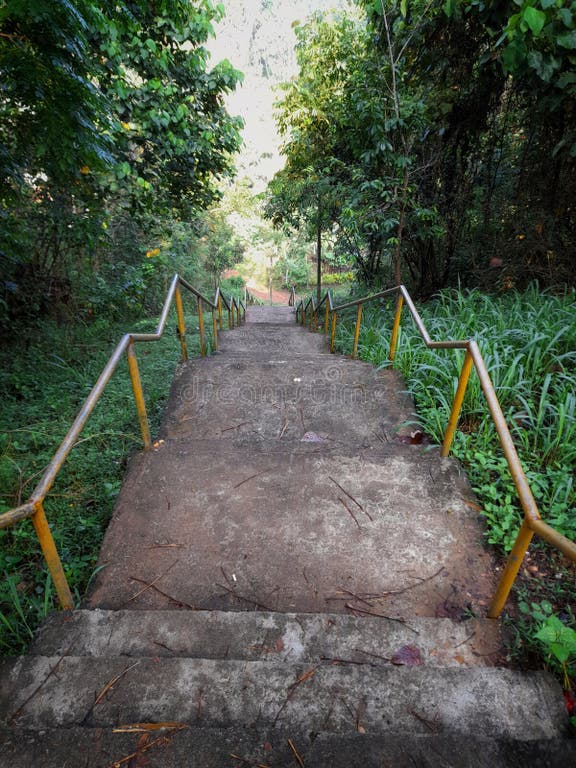 Path that Lead To the Bottom Stock Image - Image of view, plants: 248534895
