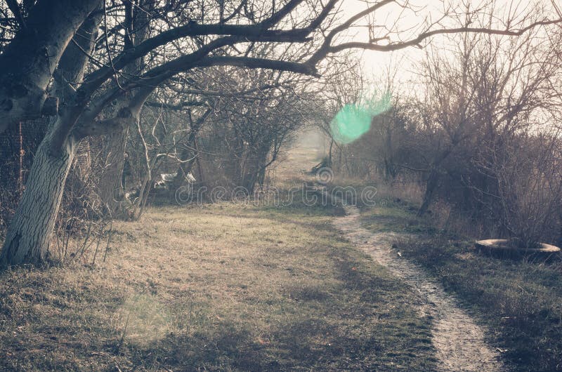 The Path Leading into the Distance To the Unknown. Stock Image - Image ...