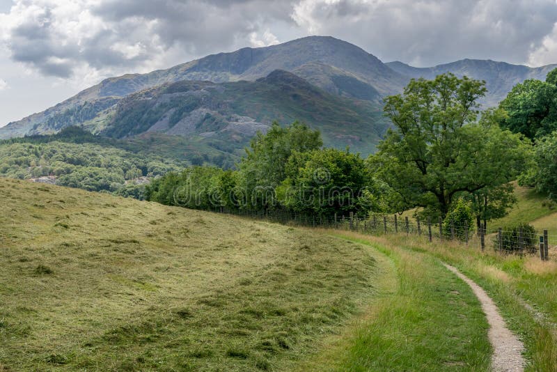 A Path Leading through a Field Toward Forest and Mountains. Stock Image ...