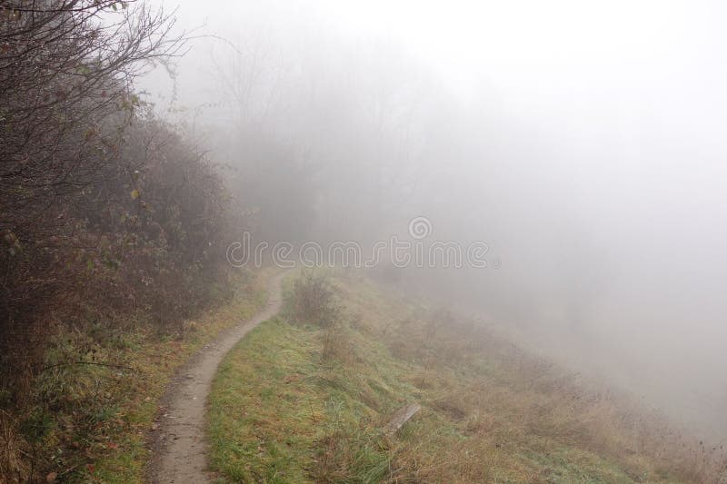 Path leading into the fog stock image. Image of barren - 269505853