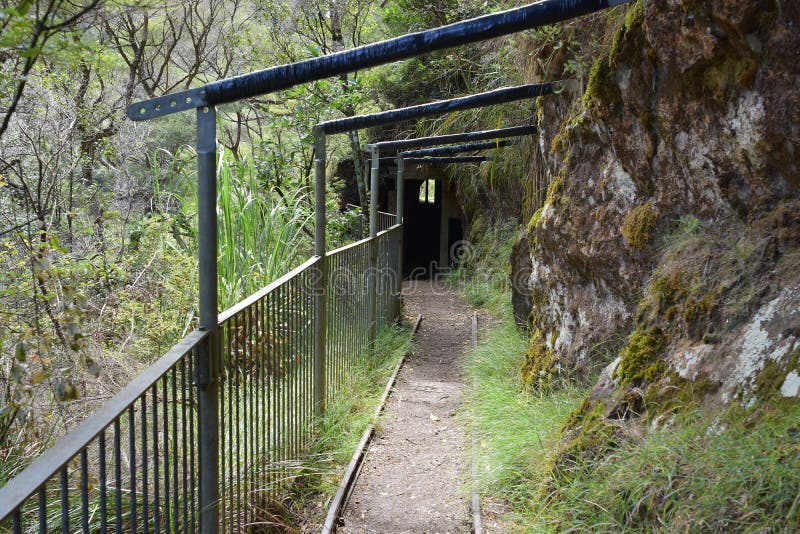 Path Leading through the Forest into a Door Stock Image - Image of ...