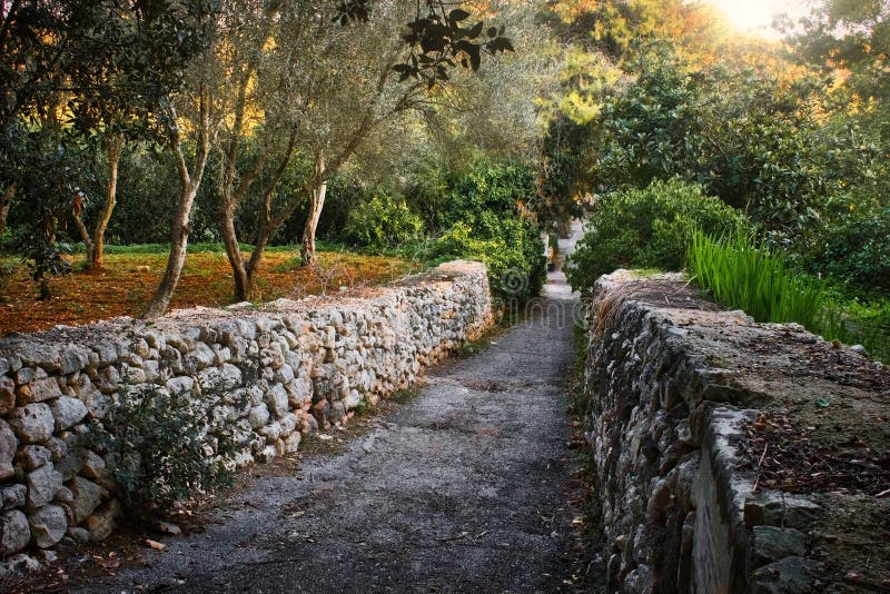 A Path Leading through the Forest with Stone Walls Stock Photo - Image ...