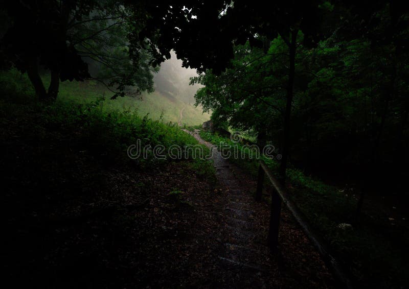 Path Leading Out of a Mysterious Dark Forest Stock Photo - Image of ...