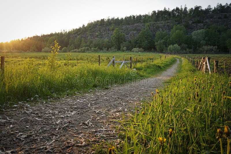 A Path Leading Over a Field Stock Image - Image of person, landscape ...