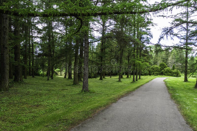 A Path Leading through the Park on a Sunny Day Stock Image - Image of ...