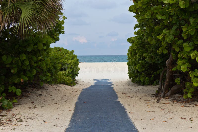 Path leading to the beach stock photo. Image of beach - 41733080