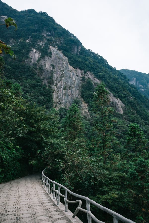 Path Leading To Forest on Wugong Mountain in Jiangxi, China Stock Image ...