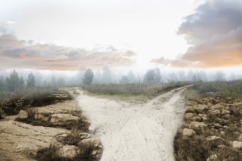 Path Leading To the Horizon Stock Illustration - Illustration of ...