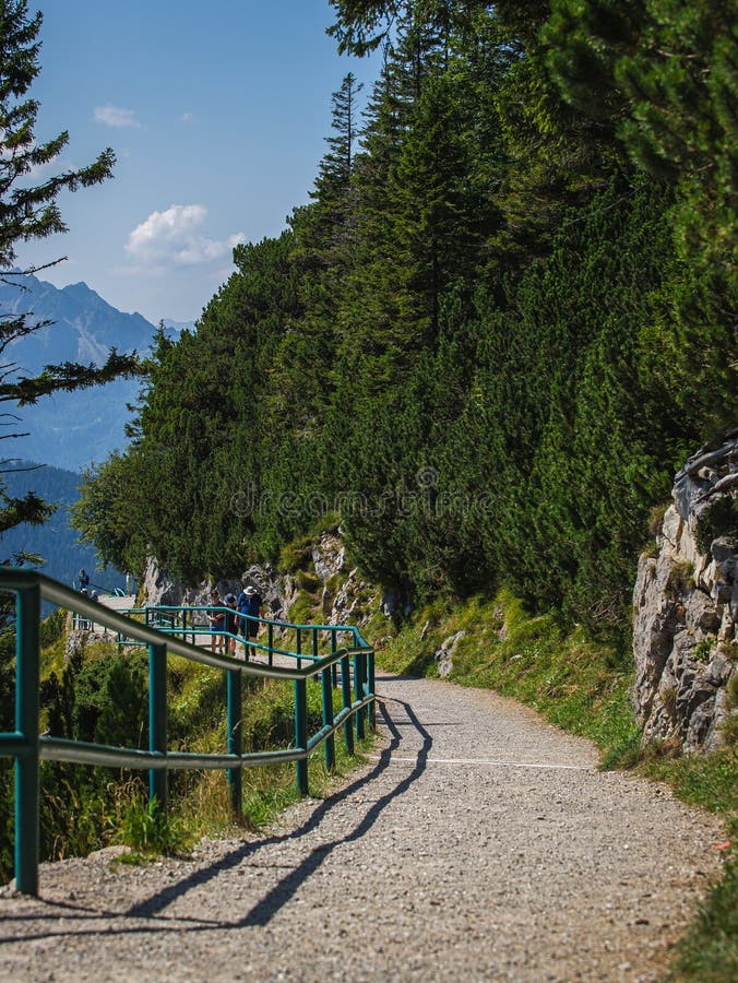 A Path Leading Up the Mountainside, Surrounded by Dense Forest. Stock ...