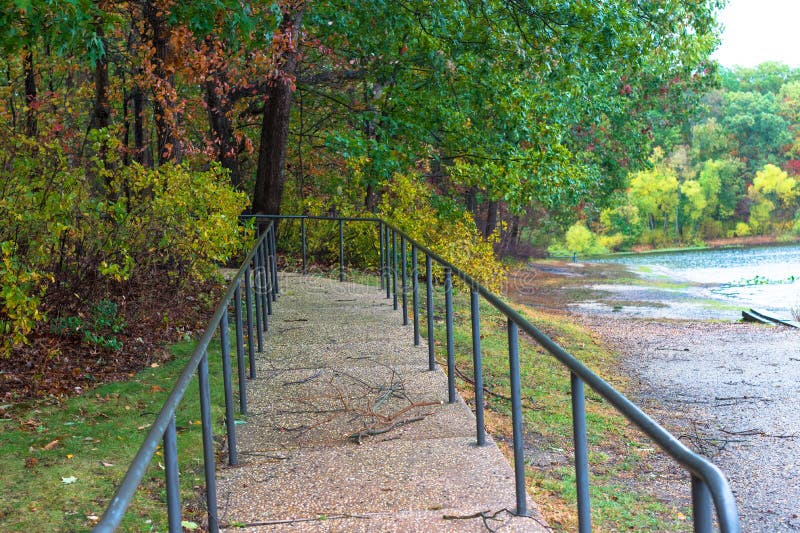 Path into the Woods stock image. Image of hike, pristine - 102515533