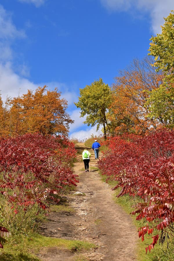 A Path through the Autumn Colored Sumac Finds Several Hikers Editorial ...