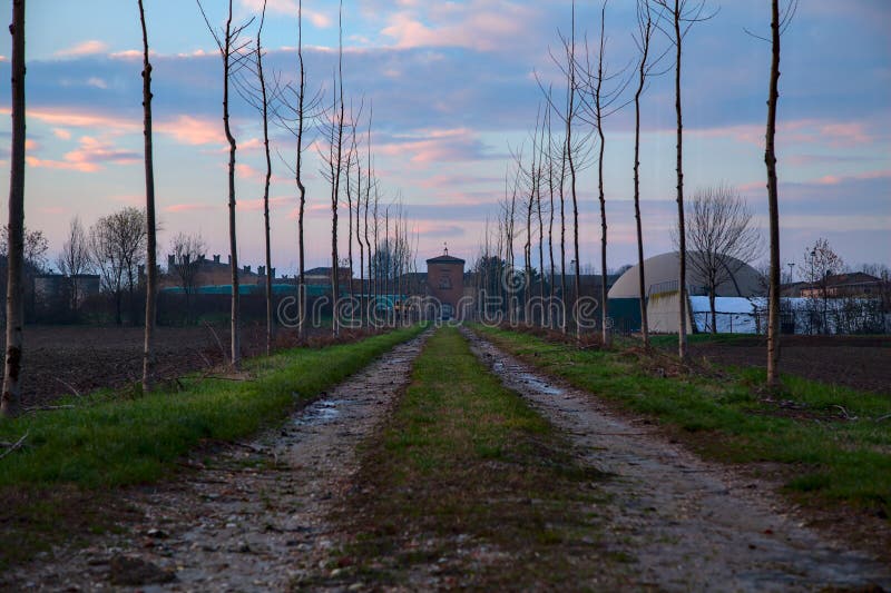 A Path that Leads To a Country House Stock Image - Image of grape, fall ...