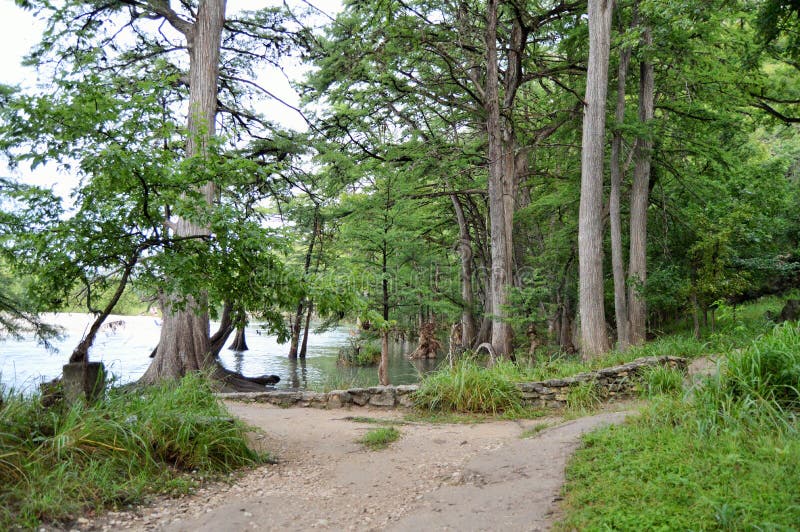 Path leads to river stock photo. Image of scene, water - 56078442