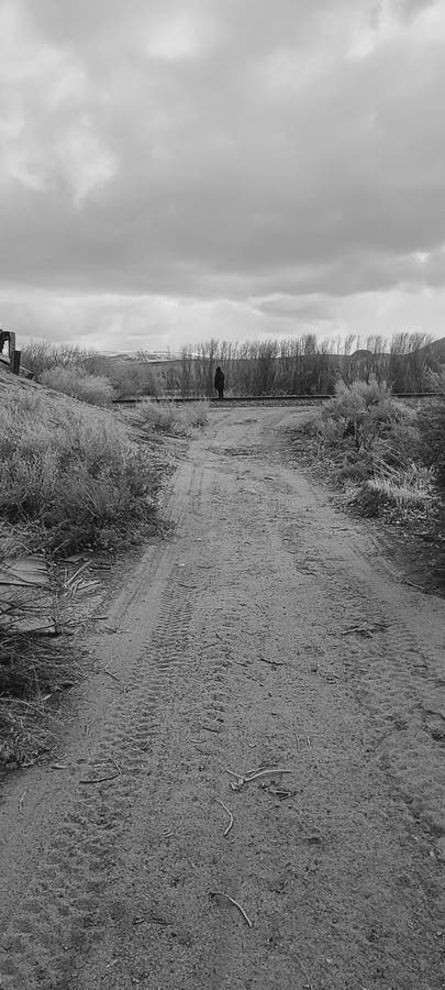 Path of Life Trail Black and White Stock Photo - Image of winter, life ...