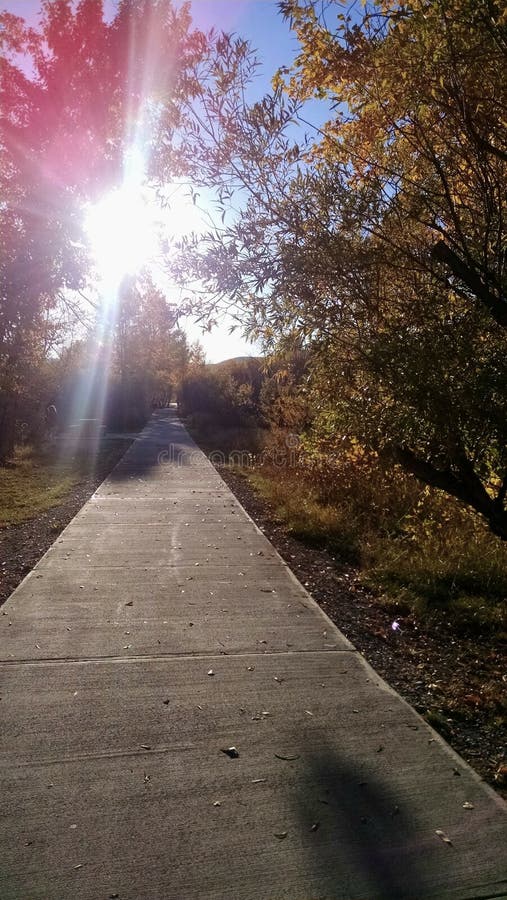 Path into the Light stock image. Image of trail, forest - 112609885