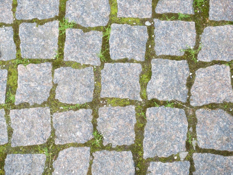 Path Lined with Blocks with Grass in between, Top View Stock Image ...