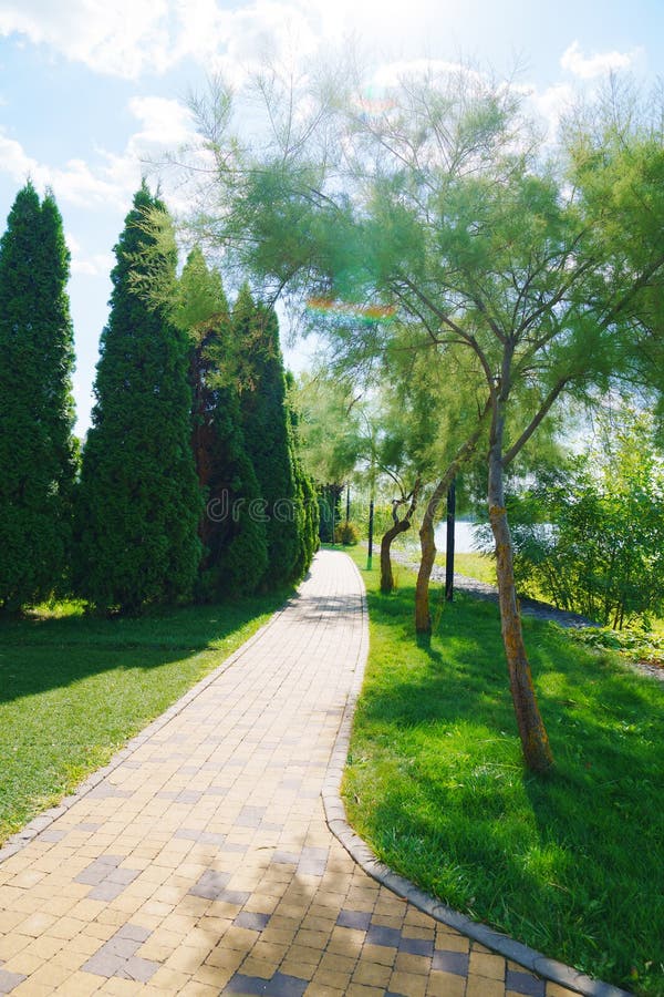 Path Lined Paving Slabs Park Walk Garden Stock Photos - Free & Royalty ...