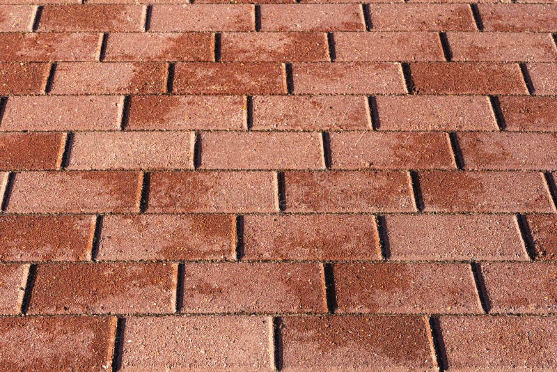 The Path is Lined with Red Paving Tiles Stock Image - Image of road ...