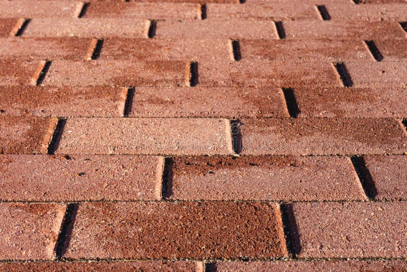 The Path is Lined with Red Paving Tiles. Close Up Stock Image - Image ...