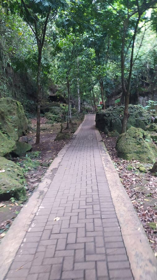 A path lined with rocks stock image. Image of trail - 349812493