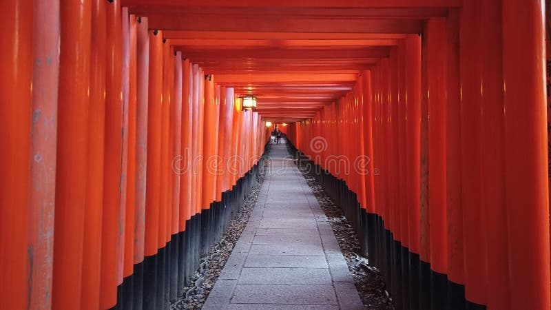 A Path Lined with Rows of Red Torii Gates Stock Image - Image of gates ...