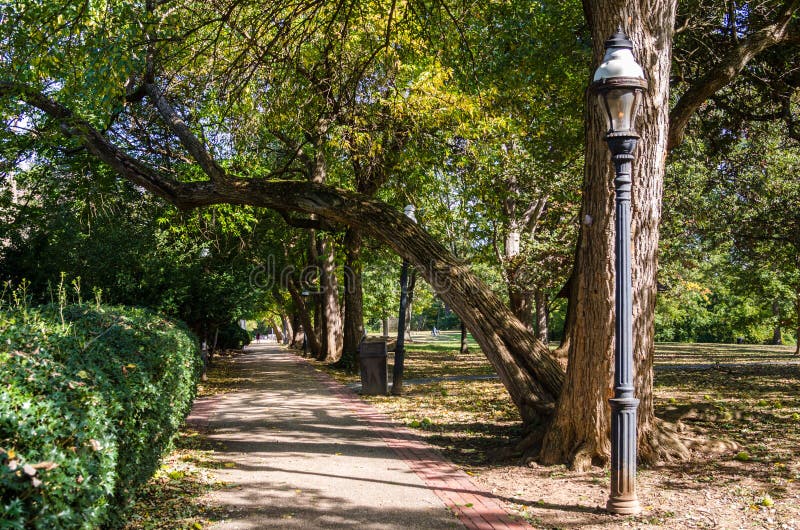 Path Lined with Trees on a Sunny Day Stock Image - Image of park ...