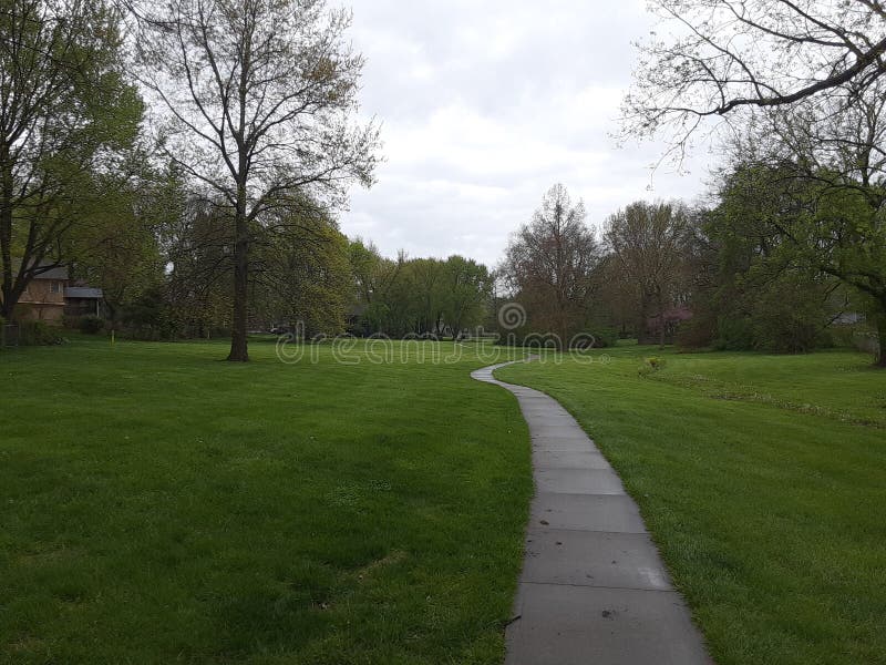 The Path Long Walk Woods Grass Stock Photo - Image of woods, path ...