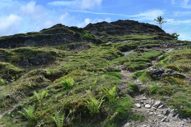 On Path Looking Up Scope End Stock Image - Image of newlands, healthy ...