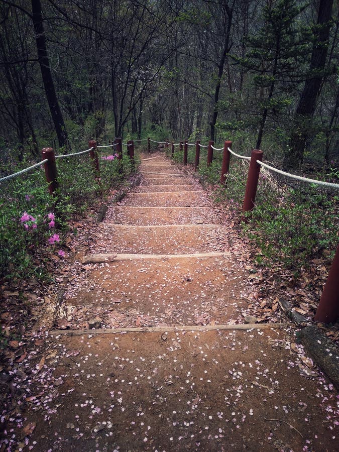 Path of Love stock image. Image of path, love, hike - 162285509