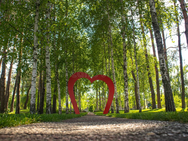 Path of love stock photo. Image of birch, love, summer - 240761506