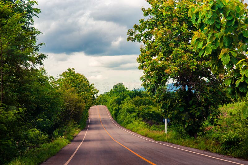 Green, Path, Road, Nature Picture. Image: 102644775