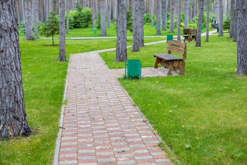 Path Made of Bricks Going through the Forest, Trees and Grass with ...