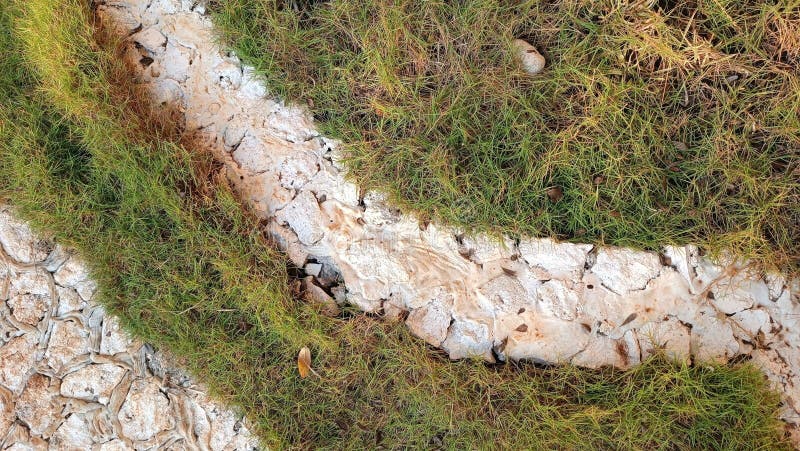 A Path Made of Dirt and Rocks with Grass Growing on it Stock Photo ...