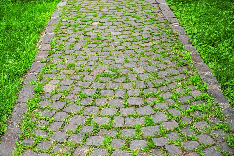 A Path Made of Paving Stones with Sprouting Grass. Stock Photo - Image ...
