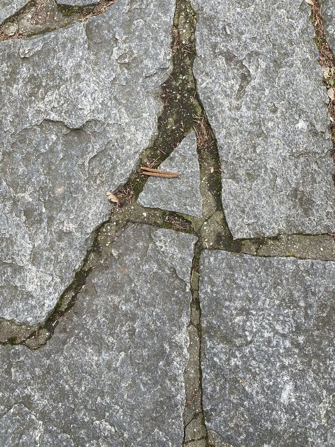 A Path Made of Real Stone is Laid Out on the Site Stock Photo - Image ...