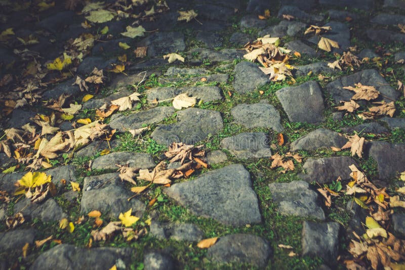 A Stone Path among the Falling Leaves. Stock Image - Image of nature ...