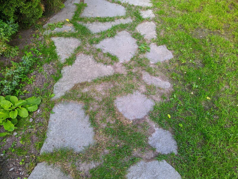 Path Made of Stones Overgrown with Grass. Stock Photo - Image of ...