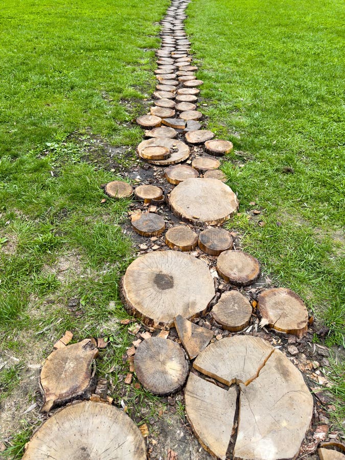 Path Made of Stumps on a Green Lawn Stock Photo - Image of circle, walk ...