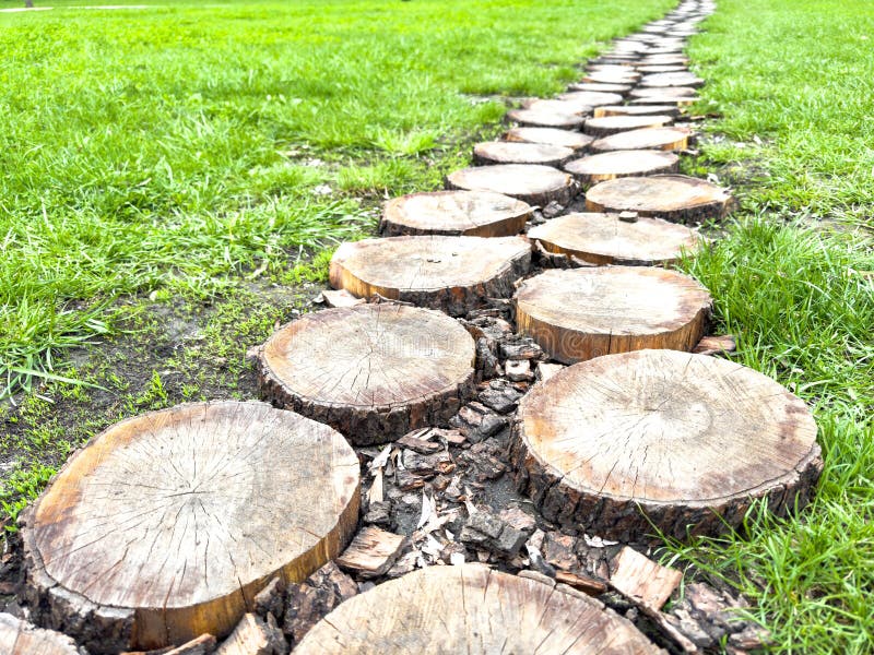 Path Made of Stumps on a Green Lawn Stock Image - Image of garden ...