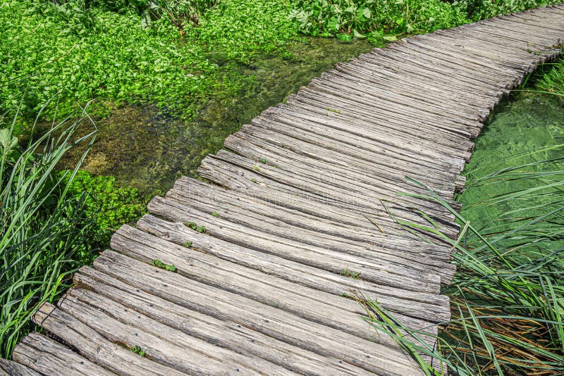A Path Made of Wooden Boards among the Lake and Forest Stock Image ...