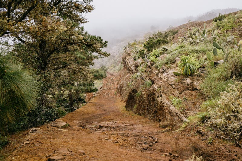 Path with Many Trees and Rocks Leading Down into the Valley Stock Photo ...