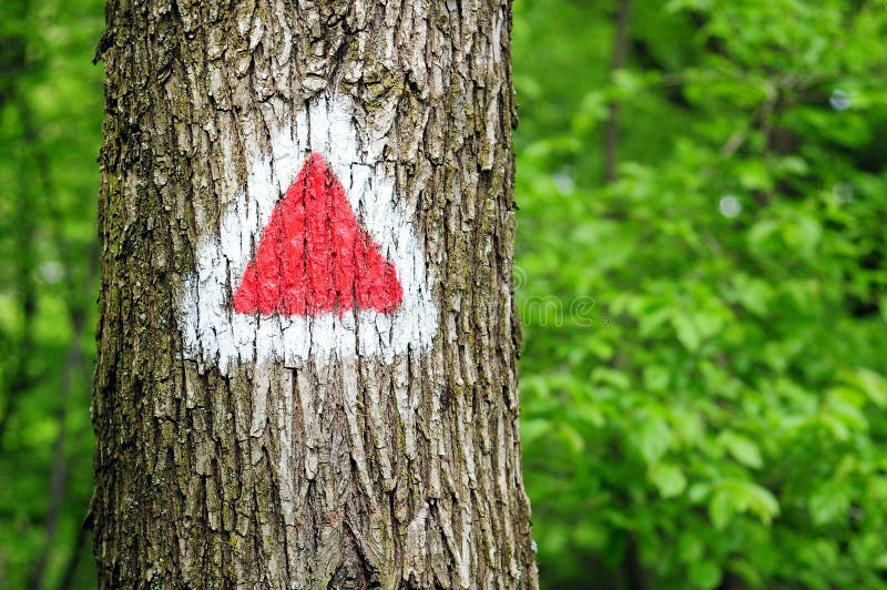 Path Mark Picture. Image: 5054958