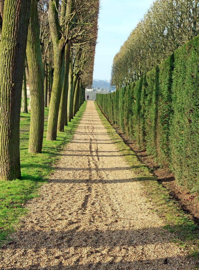 A path marked out. stock image. Image of wellmarked, marked - 90861741