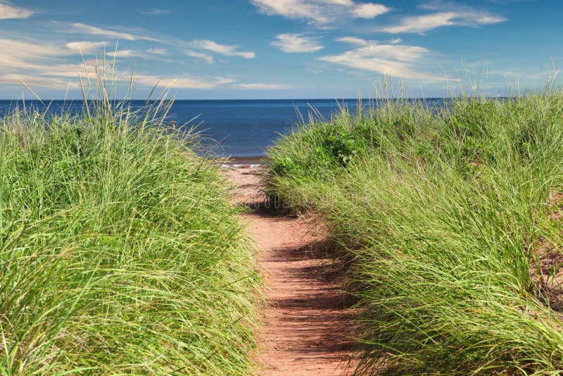 Summertime Path To the Ocean Stock Photo - Image of coastal, pathway ...