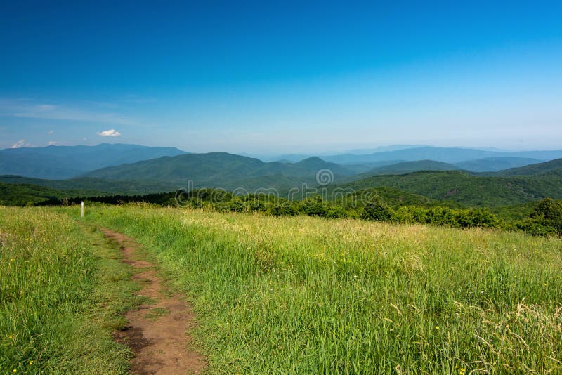 Path at Max Patch stock image. Image of meadow, path - 164853569