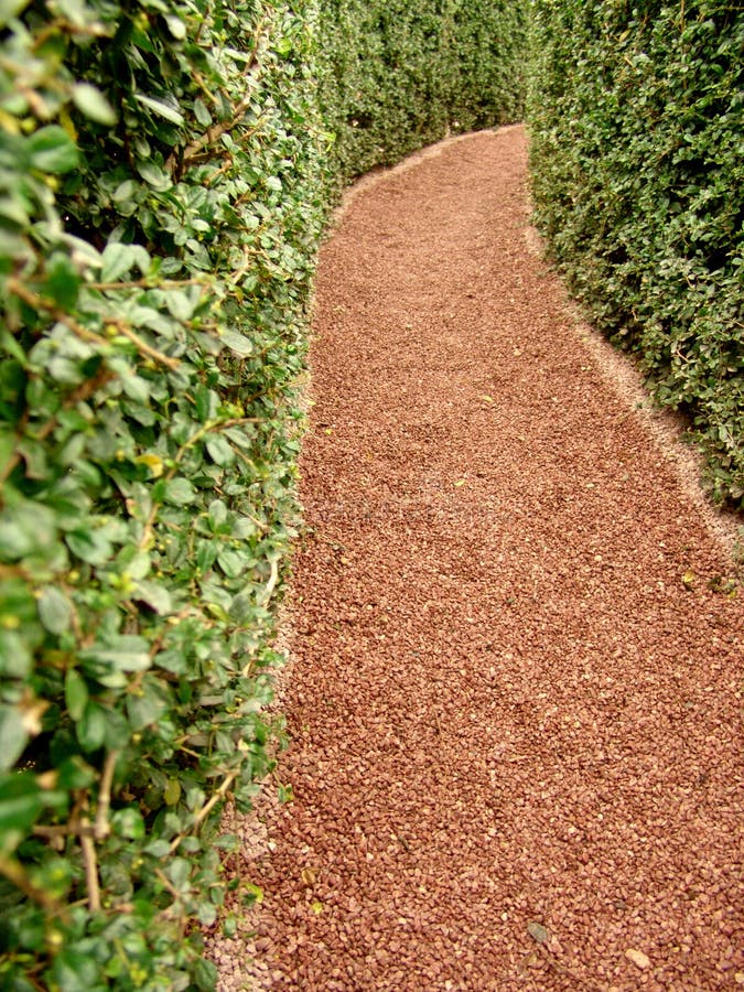 Path in a maze stock photo. Image of finding, daytime - 12817956