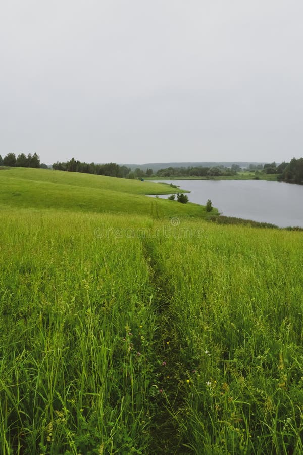 Path in a Green Meadow. Summer Landscape Stock Image - Image of ...