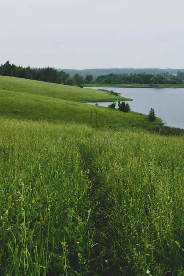 Path in the Meadow. Beautiful Summer Landscape. Lakes and Rivers Stock ...