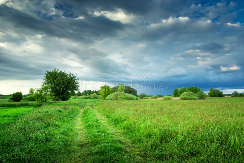 The Path through a Meadow and Beautiful Clouds Stock Image - Image of ...