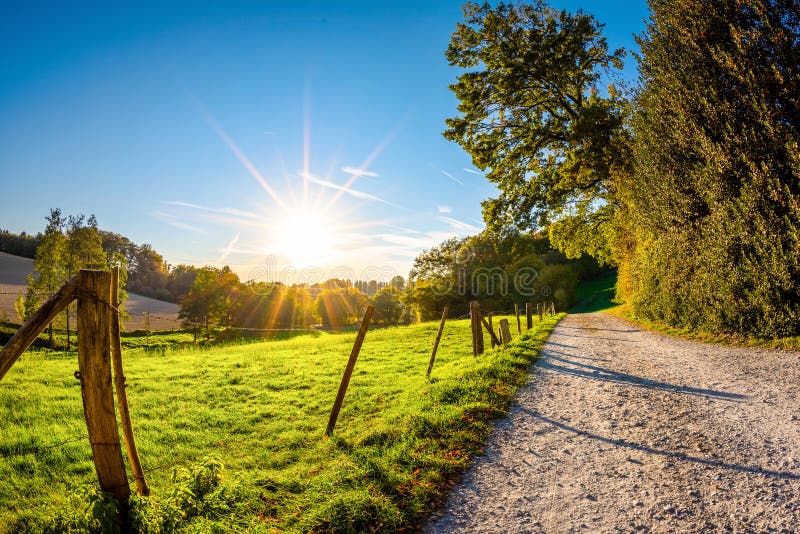 Path beside a Meadow with Bright Sun in the Background Stock Photo ...